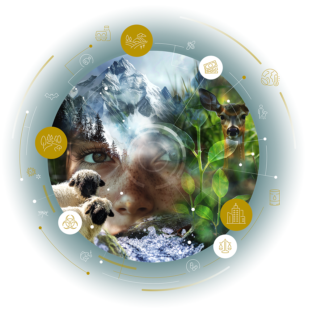 Continuing education programs: CAS One Health - University of Bern